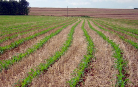 6 ESTRATÉGIAS PARA AUMENTAR SUA PRODUTIVIDADE NA LAVOURA - Agricultura ...