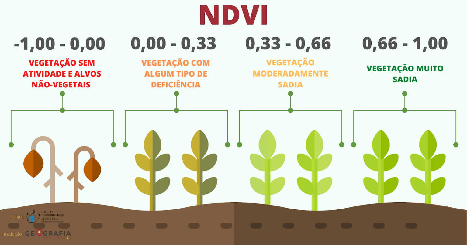 NDVI: Para que serve?