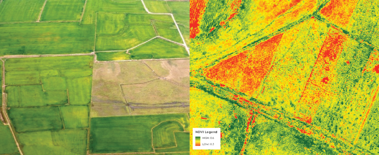 NDVI: Como utilizar a tecnologia para realizar um bom monitoramento ...