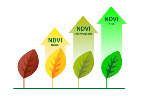 NDVI: 6 Fatos que você precisa conhecer - Agricultura do Futuro