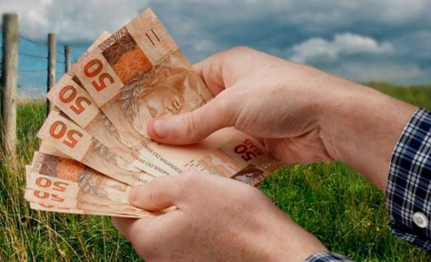Tudo que você precisa saber sobre crédito rural - Agricultura do Futuro