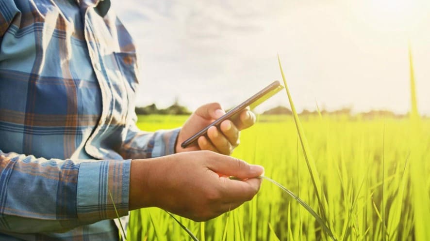 Tudo que você precisa saber sobre crédito rural - Agricultura do Futuro