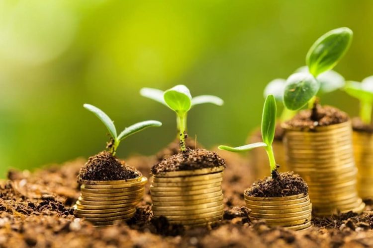 Tudo que você precisa saber sobre crédito rural - Agricultura do Futuro